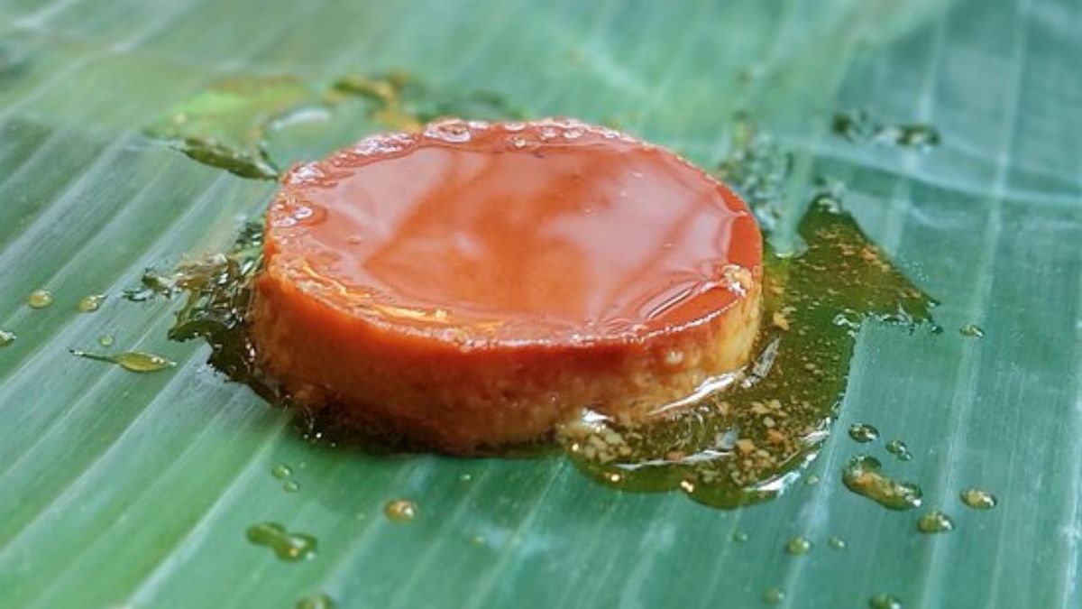 Gubat Menu – Updated Prices 2025 In Ph!